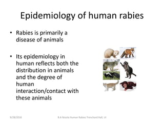 Human Rabies | PPTX