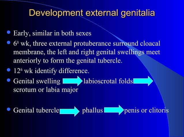 Embryology and congenital anomalies of female reproductive system for ...