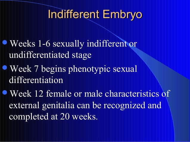Differentiation Of The Female External Genitalia Stages