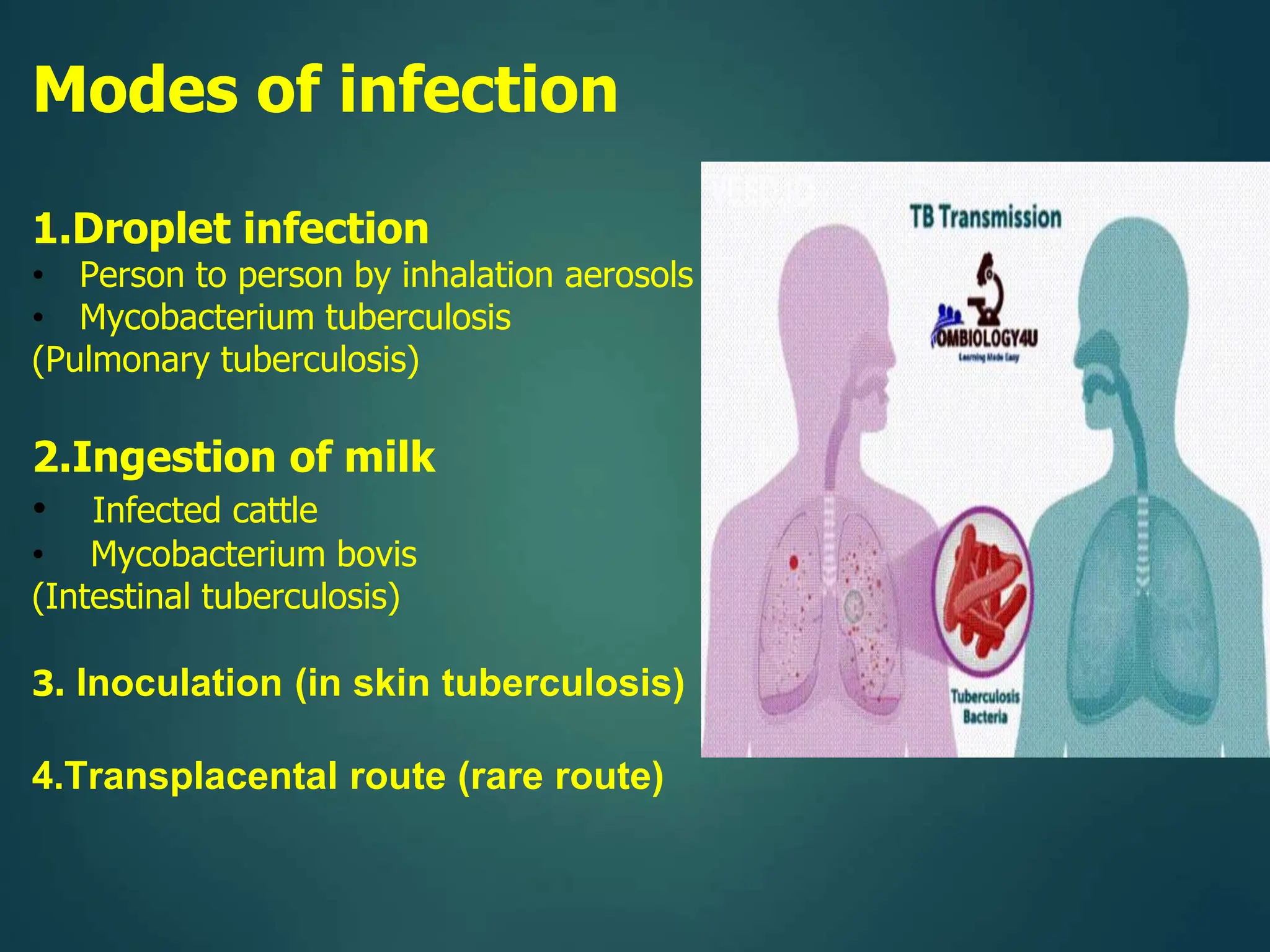 tb pathogenesis and laboratory diagnosis .pptx