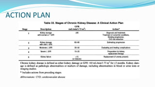 Kidney Disease - CKD BARU.pptx