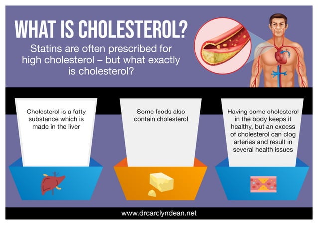 What Is Cholesterol? | PDF
