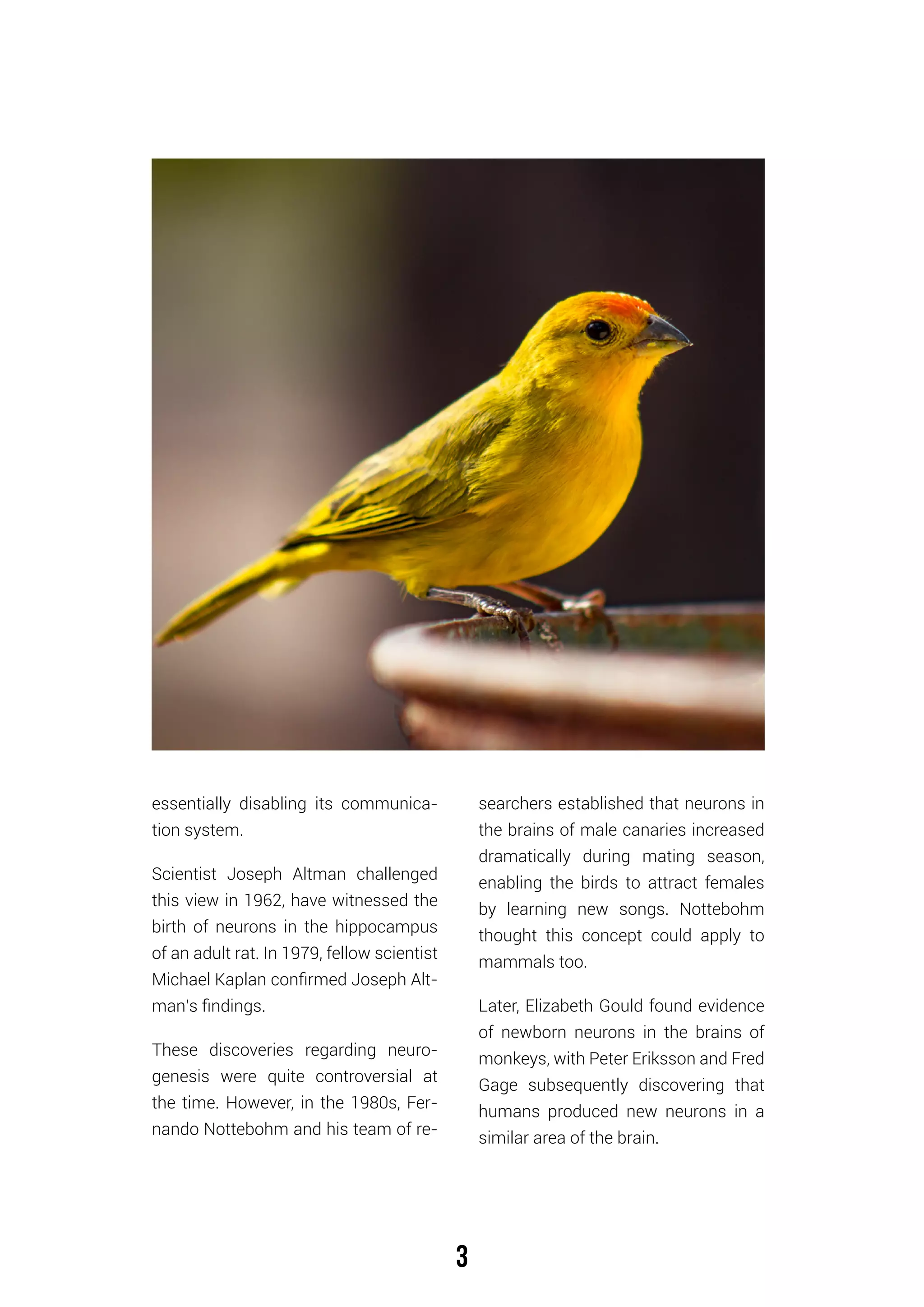 Introduction to Neurogenesis | PDF