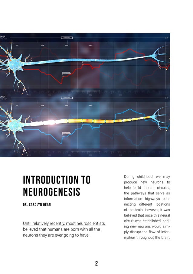 Introduction to Neurogenesis | PDF