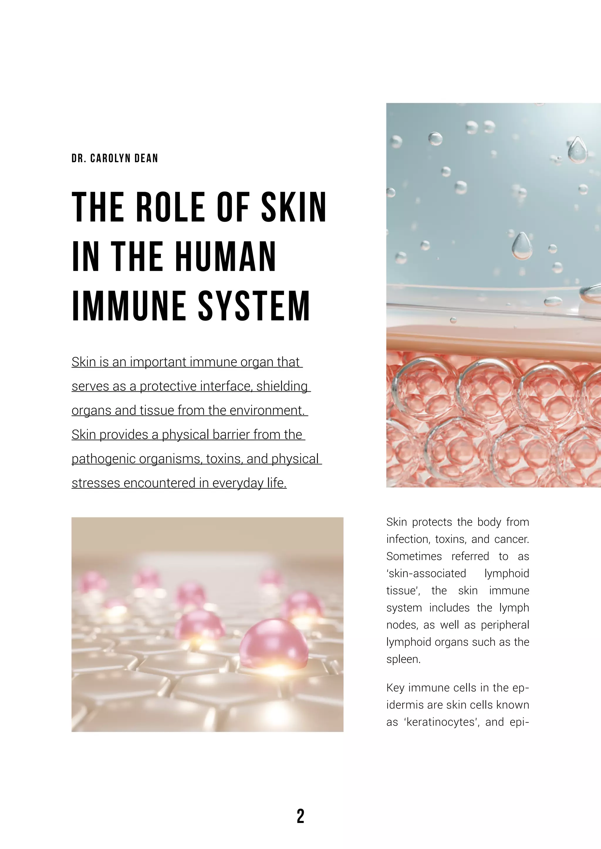 The Role of Skin in the Human Immune System | PDF