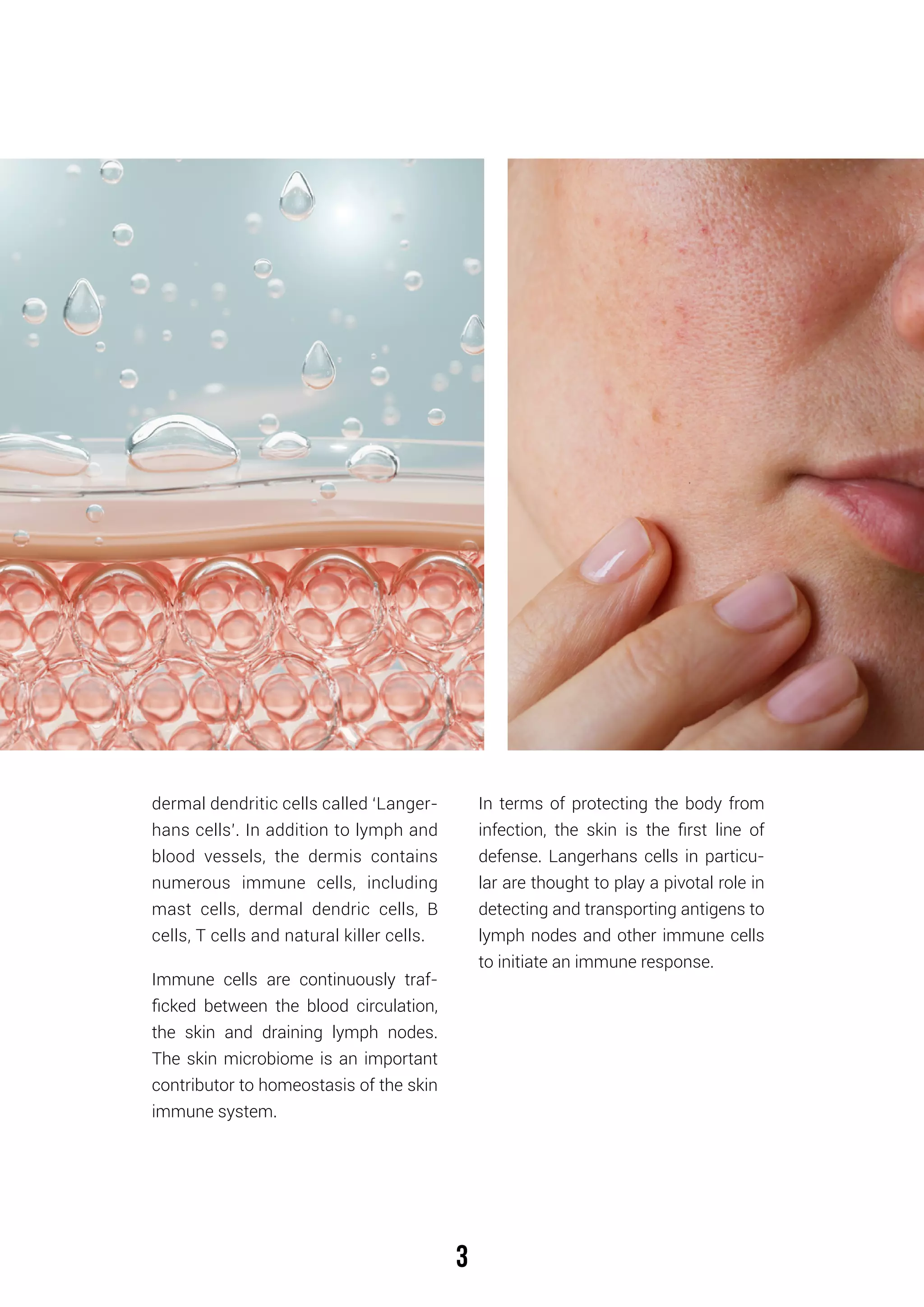 The Role of Skin in the Human Immune System | PDF
