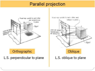 theory of projection | PPTX