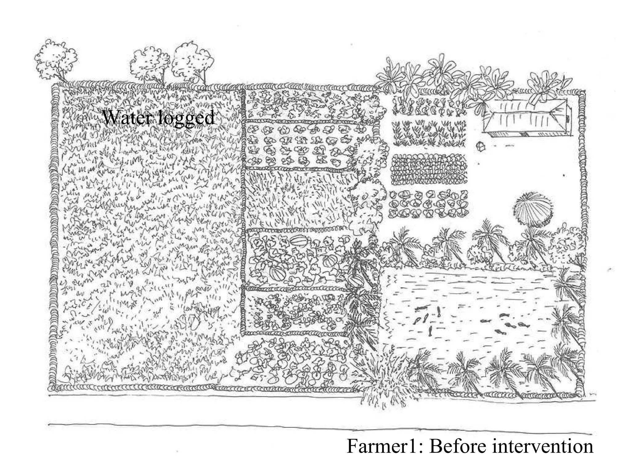 India Diversified-INTEGRATED FARMING adaptation strategy for small and ...