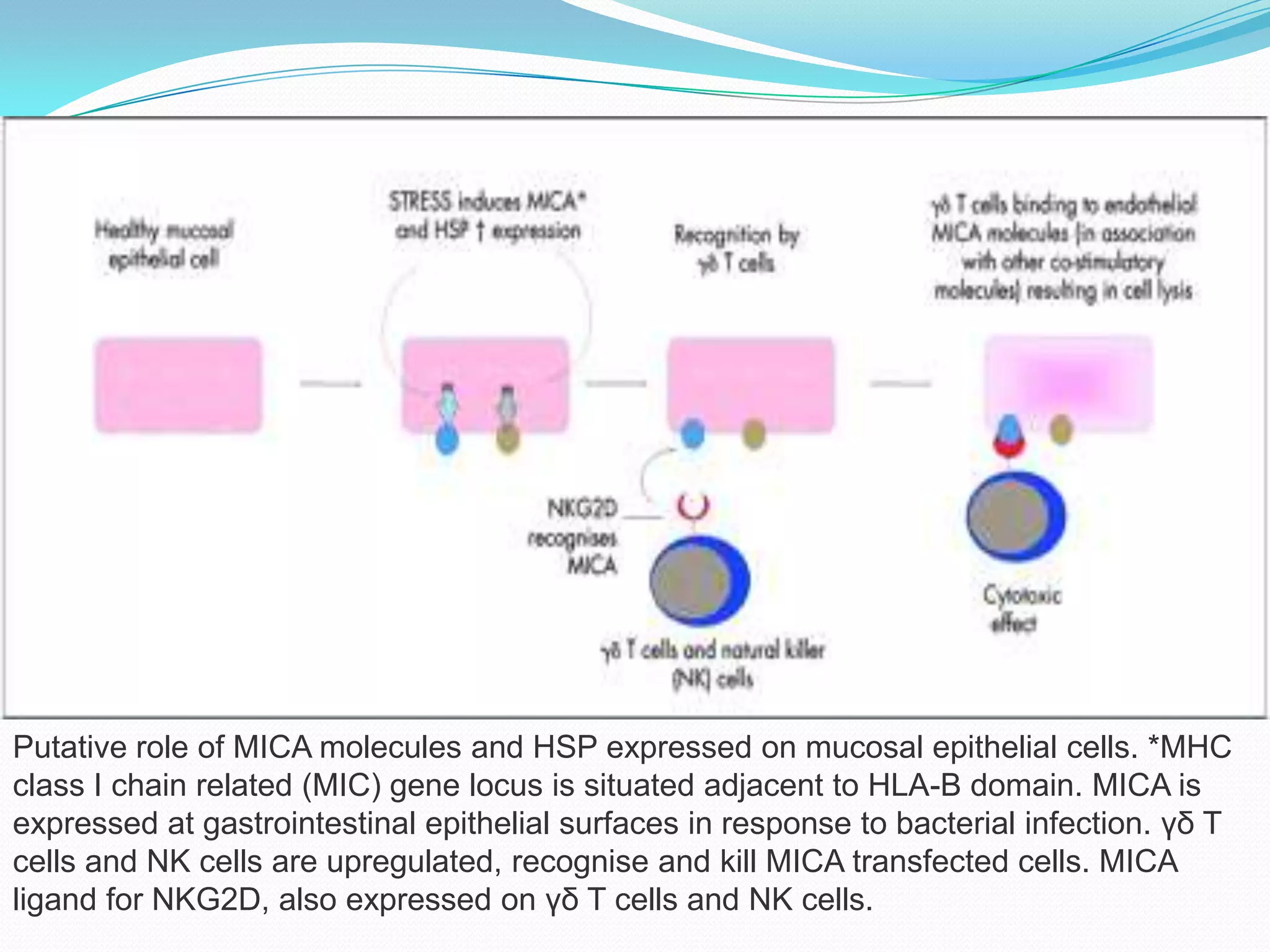 Behcet's disease | PPTX