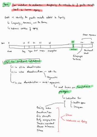 Preparation note on longevity for discussion | PDF
