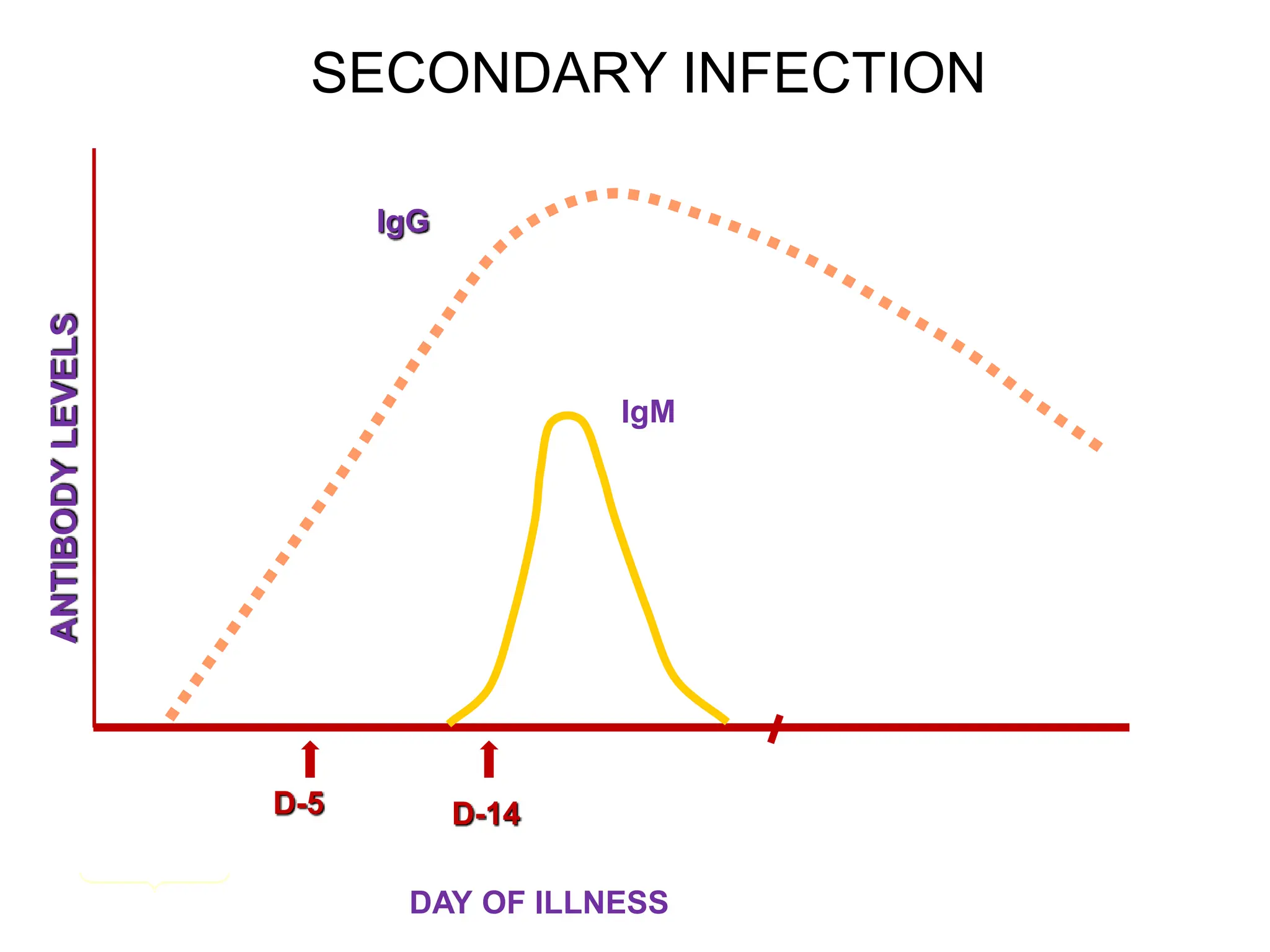 Dr Deepak Dadhich DENGUE FEVER ppt under guidance of Dr Jitendra Verma Sir Professor department ...