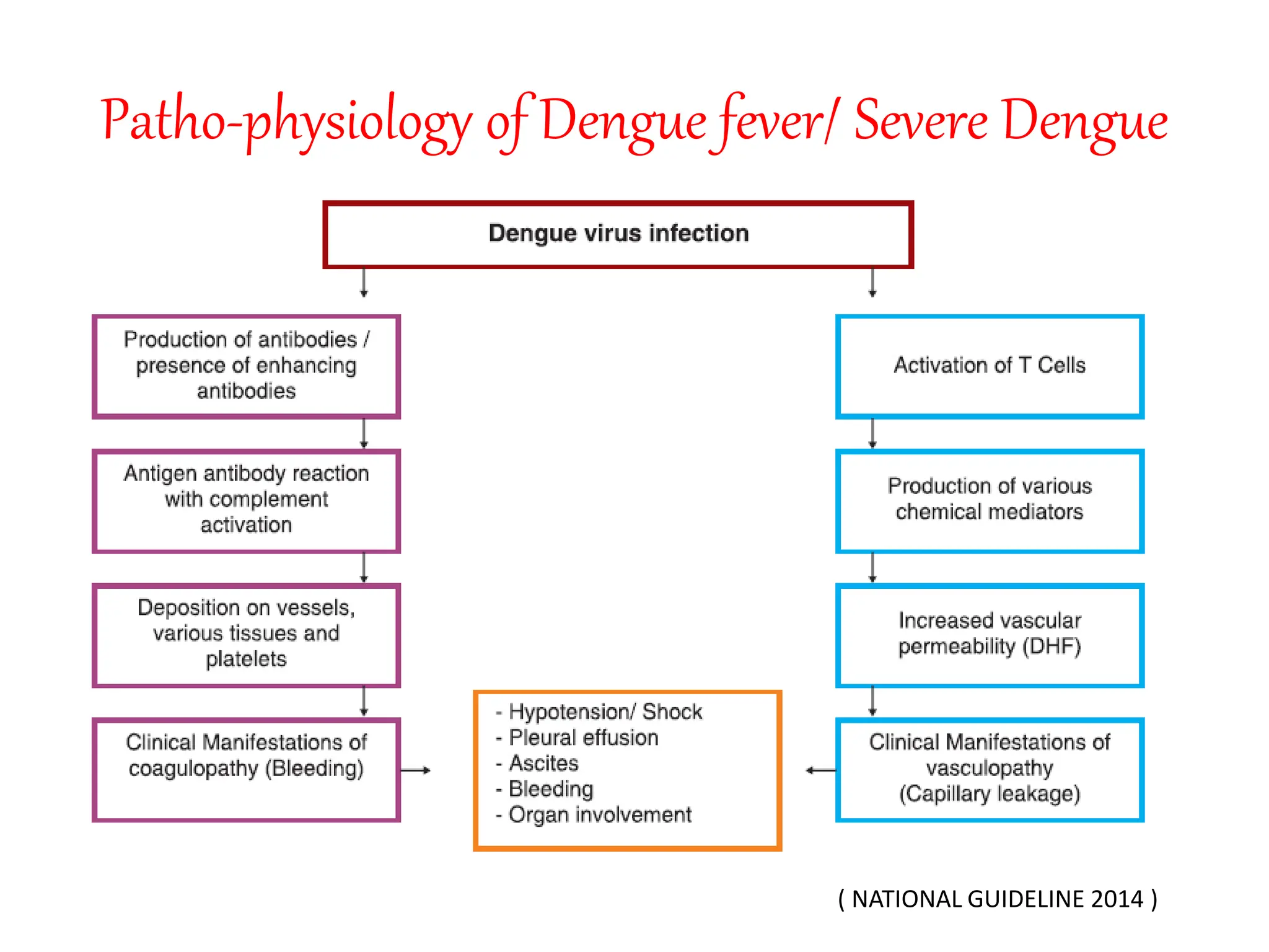 Dr Deepak Dadhich DENGUE FEVER ppt under guidance of Dr Jitendra Verma Sir Professor department ...