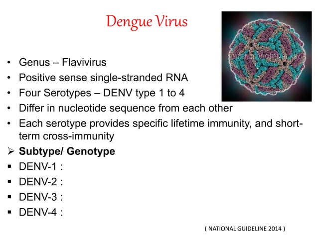 Dr Deepak Dadhich DENGUE FEVER ppt under guidance of Dr Jitendra Verma Sir Professor department ...