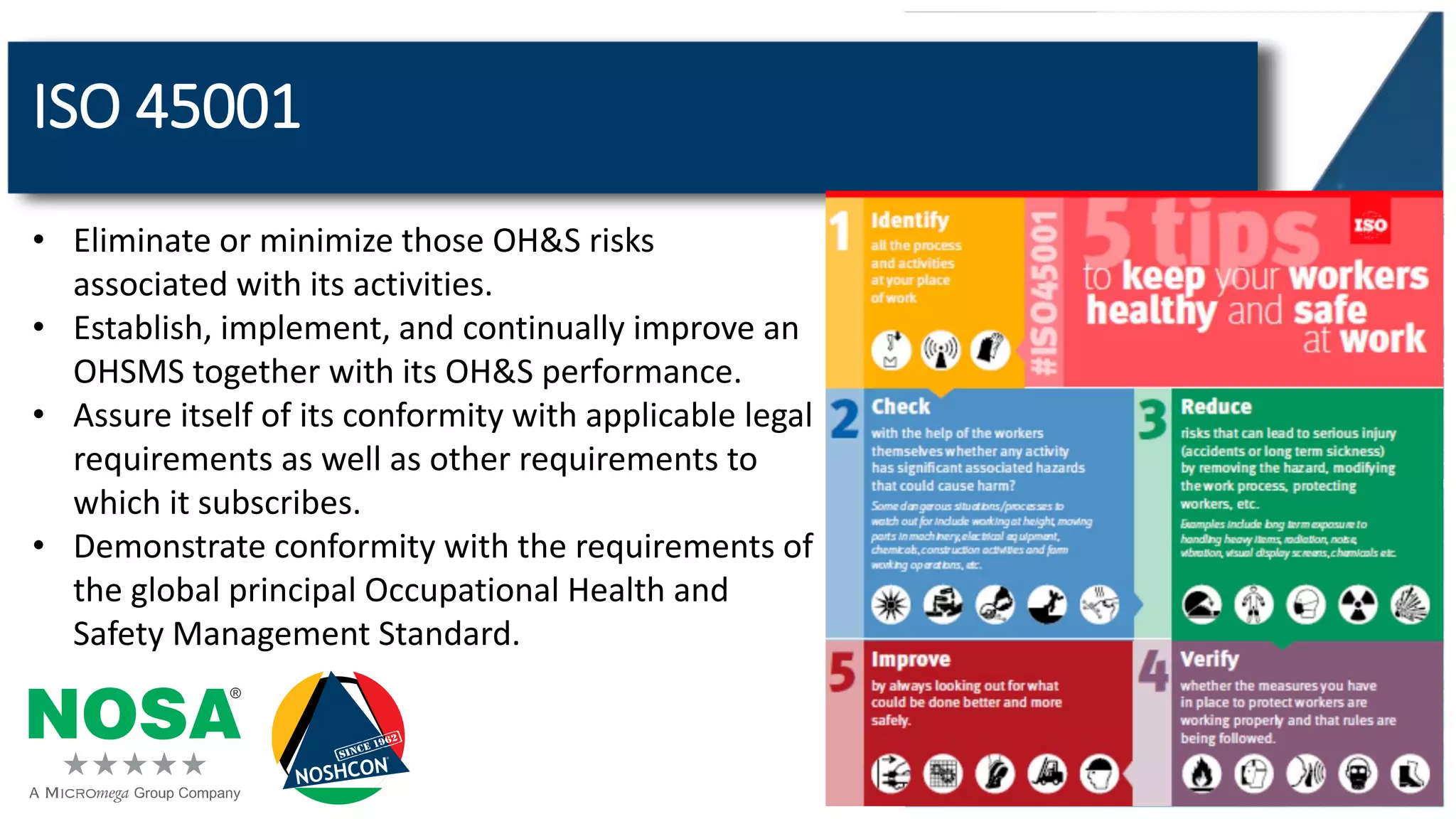 ISO 45001 and Organisations as Complex Adaptive Systems | PDF
