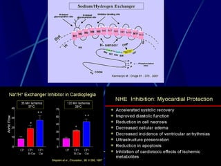 Myocardial Protection | PPT