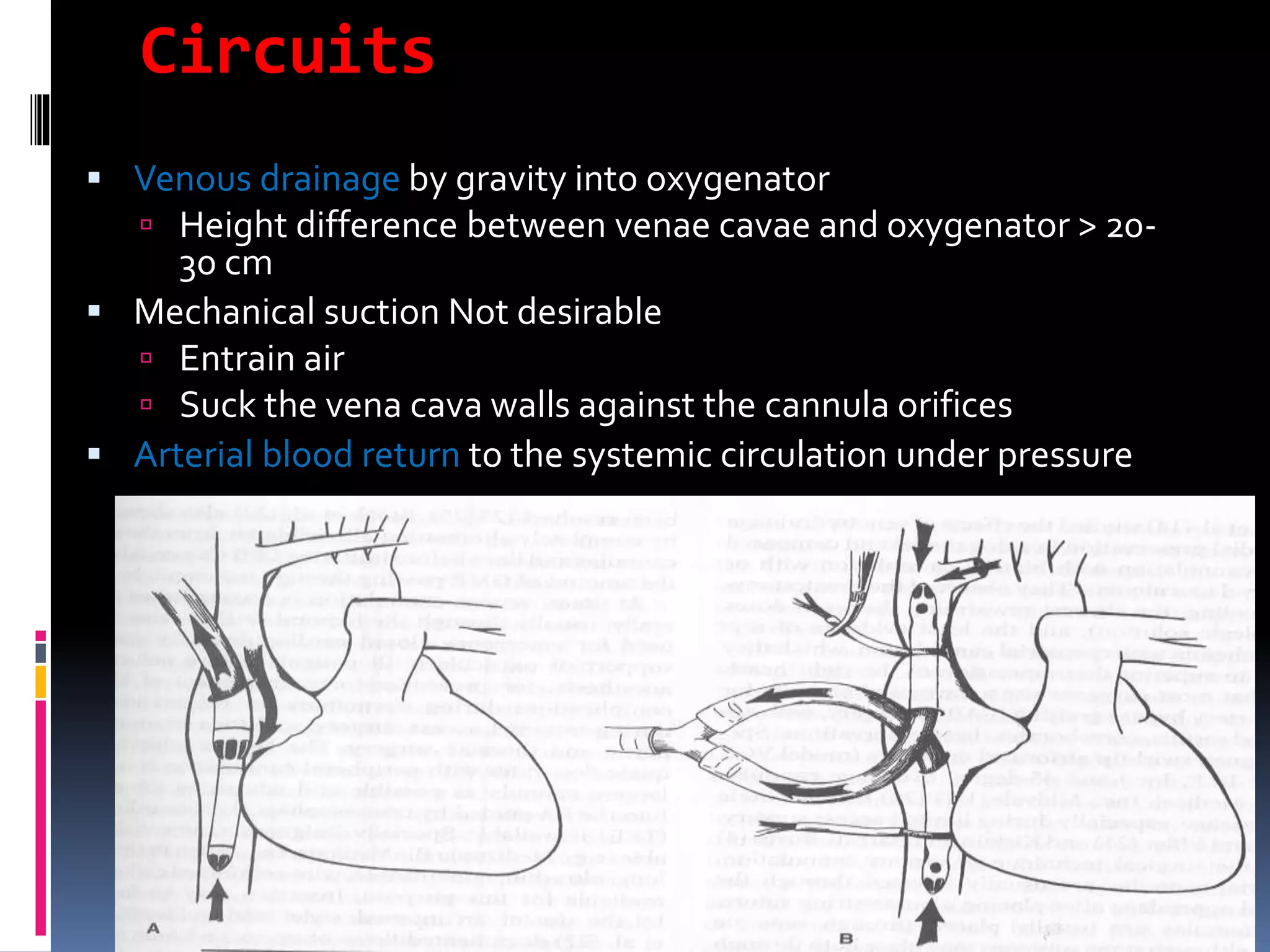 Principles of CPB | PPTX