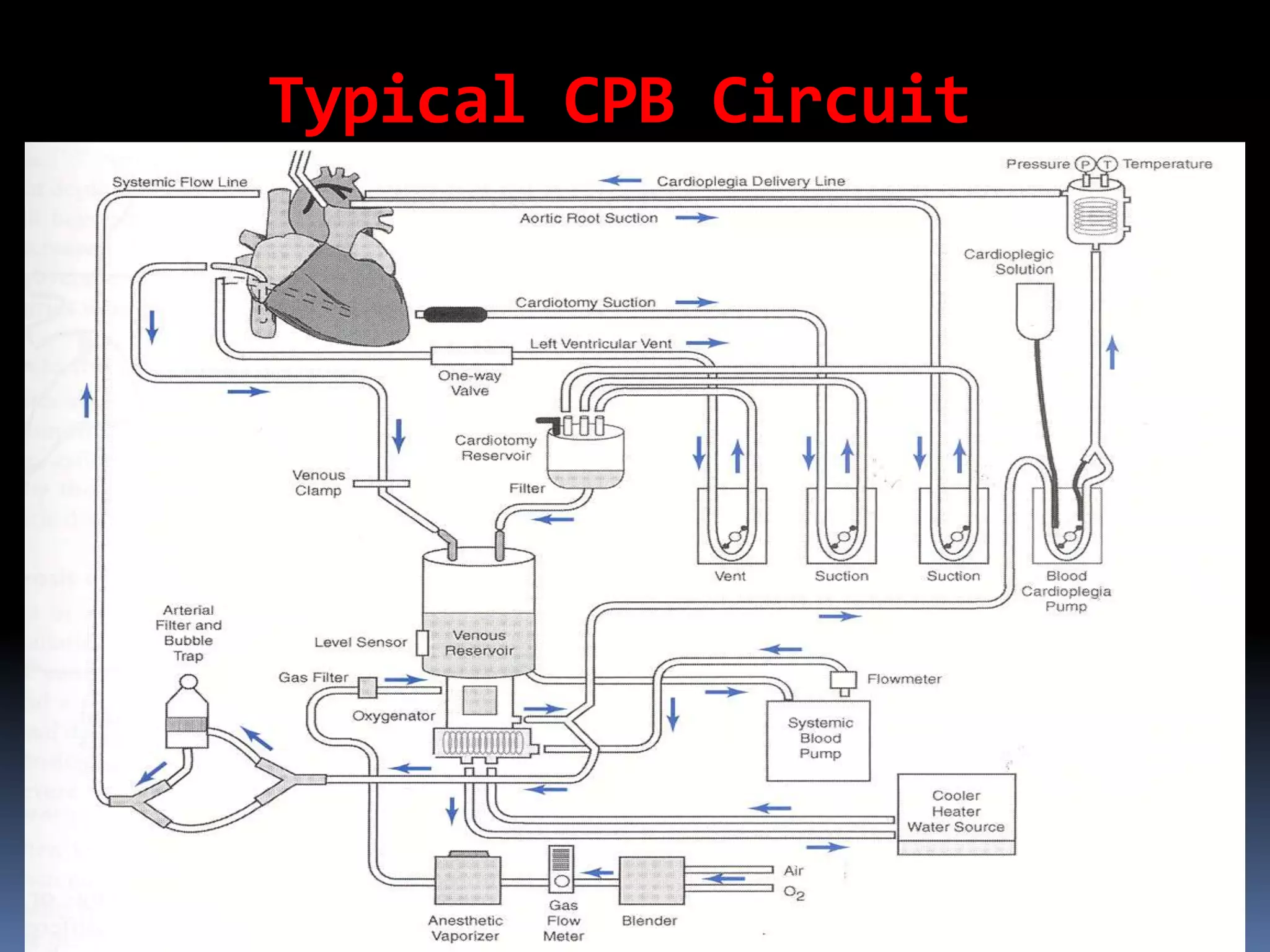 Principles of CPB | PPTX