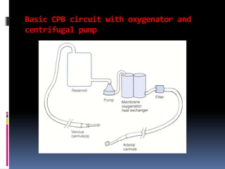 Principles of CPB | PPTX
