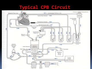 Principles of CPB | PPTX