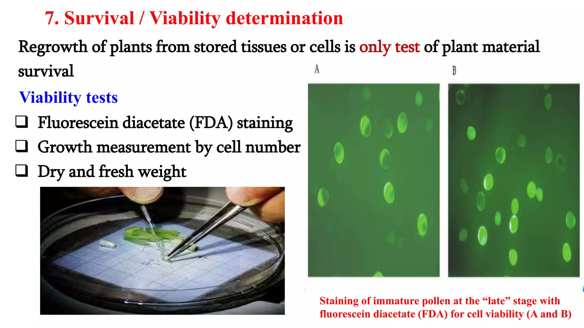 Cryo-preservation of seeds | PPTX