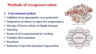 Cryo-preservation of seeds | PPTX