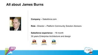 Salesforce Platform: Governance and the Social Enterprise | PDF