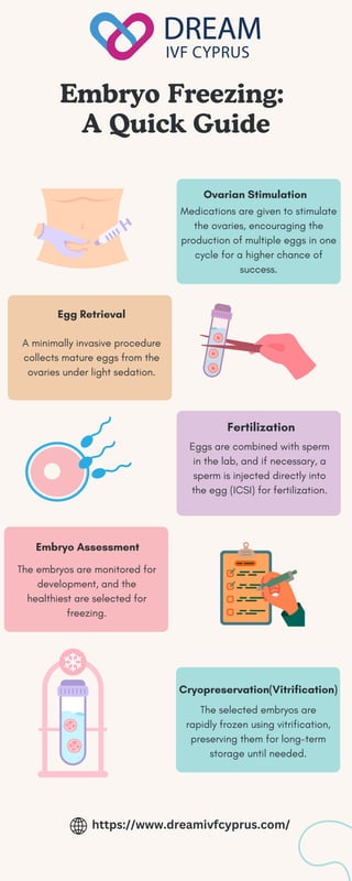 . Embryo Freezing: A Quick Guide | PDF