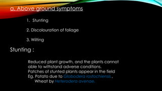 Nematode - Symptoms of nematodes in fundamentals of plant pathology ...