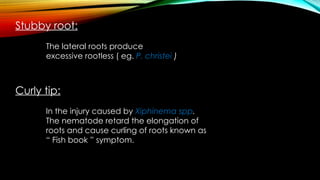 Nematode - Symptoms of nematodes in fundamentals of plant pathology ...