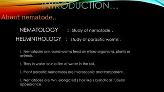 Nematode - Symptoms of nematodes in fundamentals of plant pathology ...
