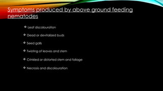 Nematode - Symptoms of nematodes in fundamentals of plant pathology ...