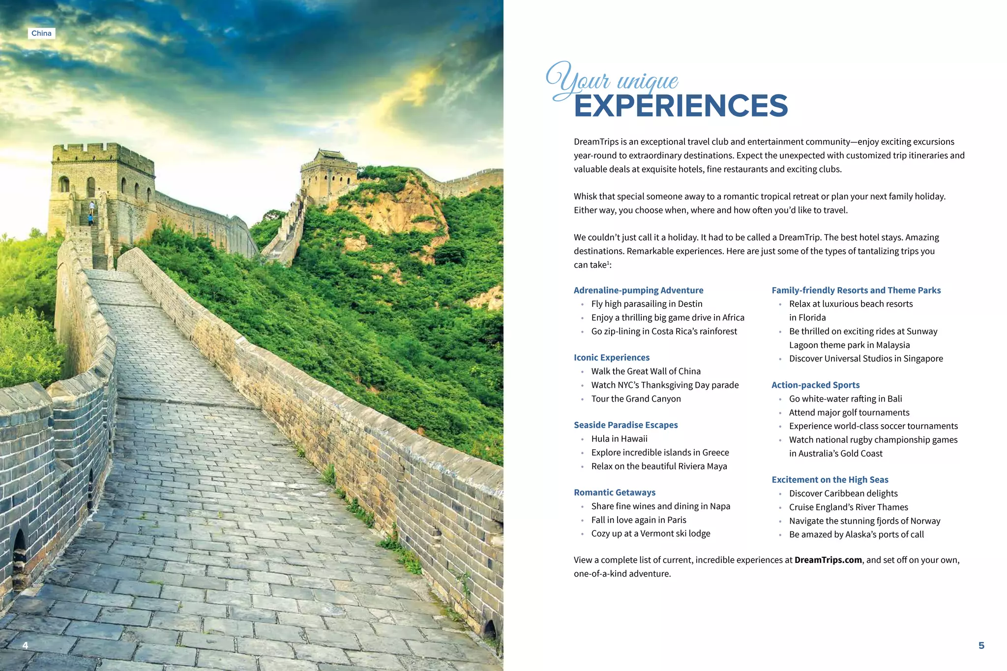 DreamTrips Brochure | PDF