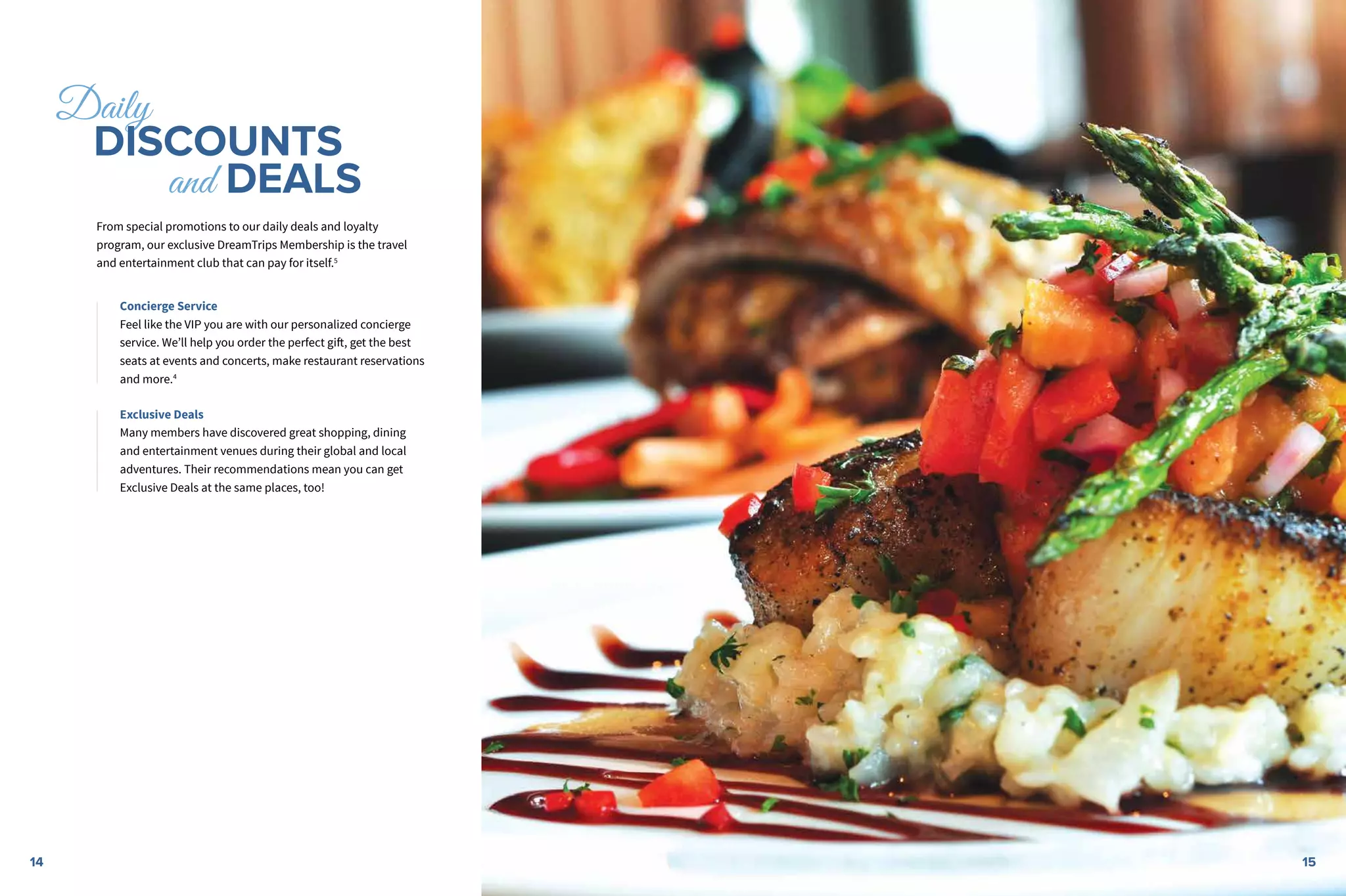 DreamTrips Brochure | PDF