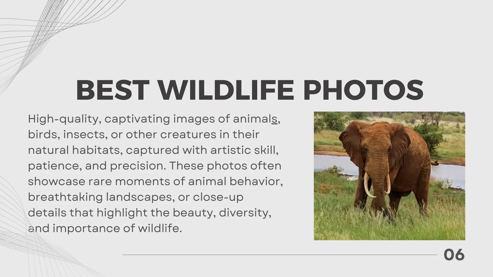 Dredd Photos | Printing the wonders of life! | PDF