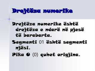 Drejteza numerike | PDF