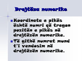 Drejteza numerike | PDF