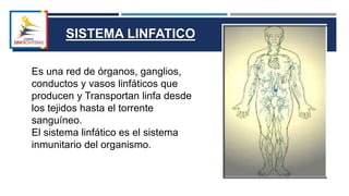 drenaje linfatico.pptx