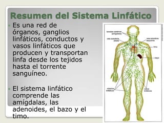 DRENAJE LINFATICO- diapositiva.pdf. que son escencial | PDF