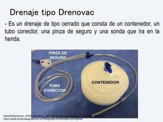 los venados y las cosas activas que causan | PPTX