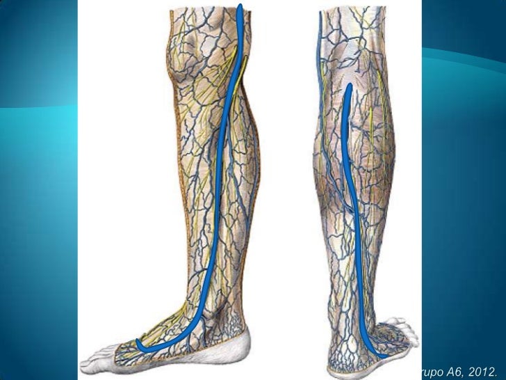 Nursing.learner@enfermería