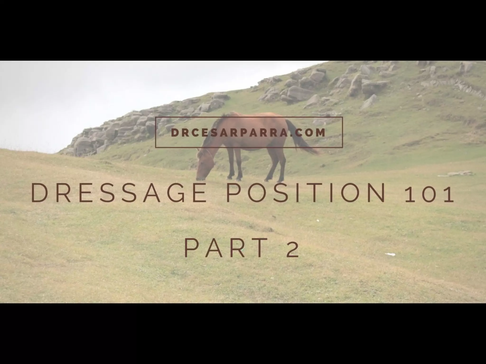 Dressage Position 101: Part 2 | PDF