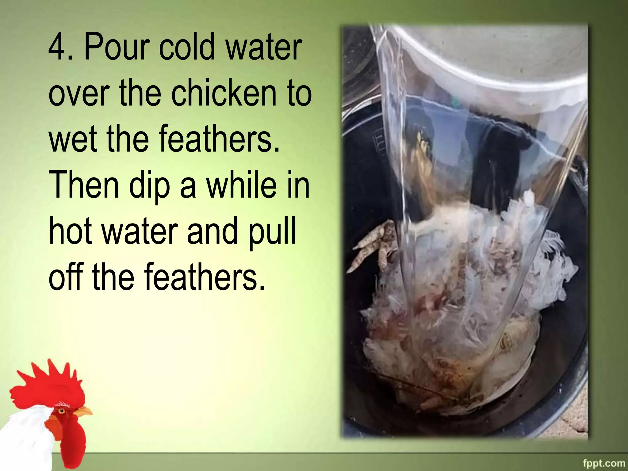 Dressing poultry | PPTX