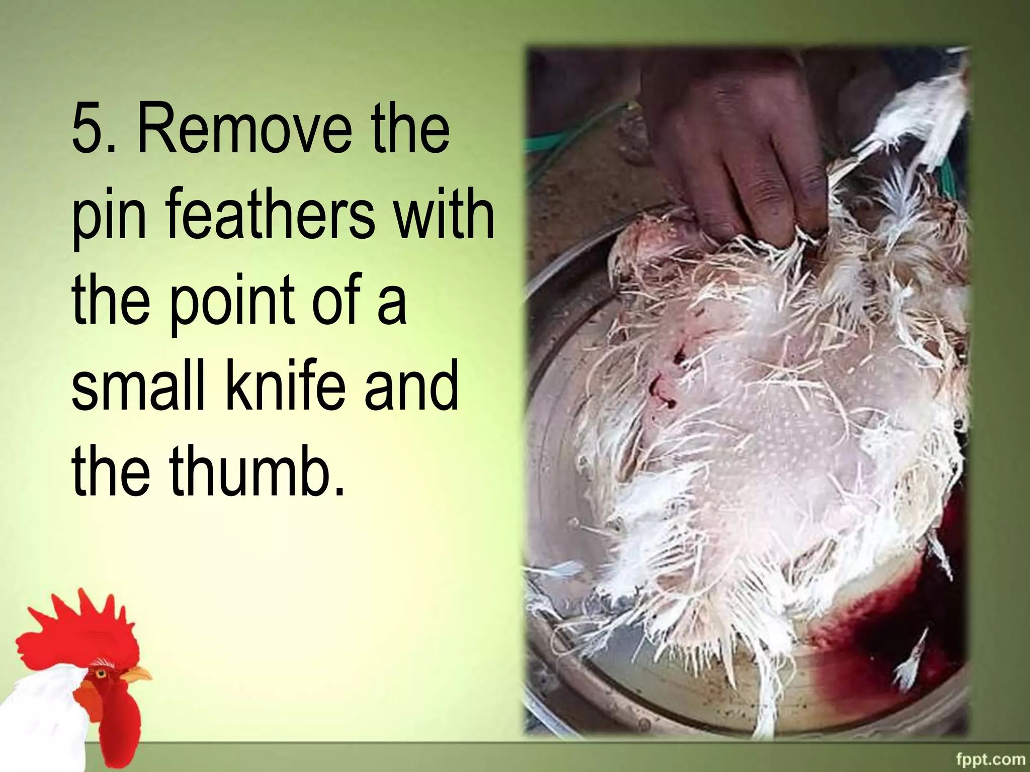 Dressing poultry | PPTX