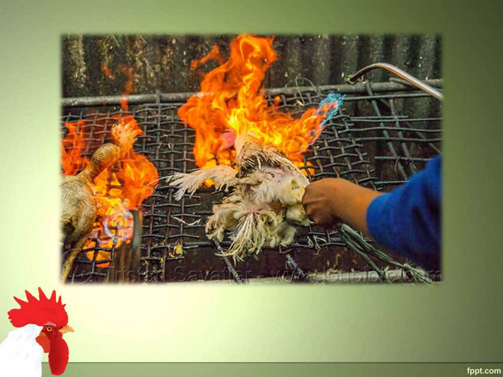 Dressing poultry | PPTX