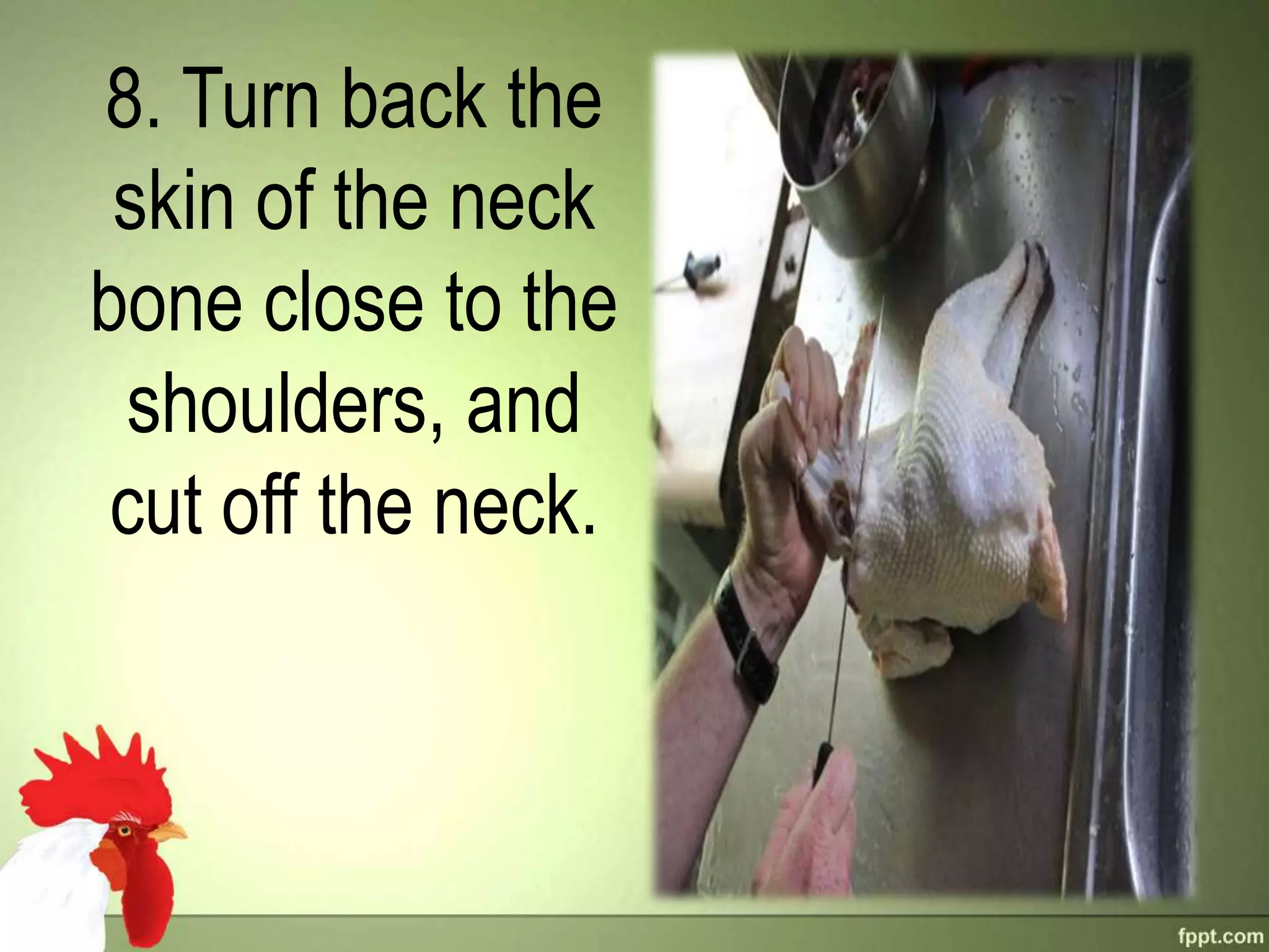 Dressing poultry | PPTX