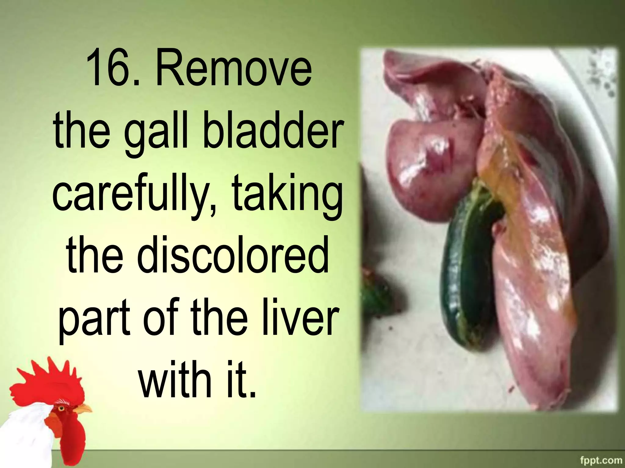 Dressing poultry | PPTX