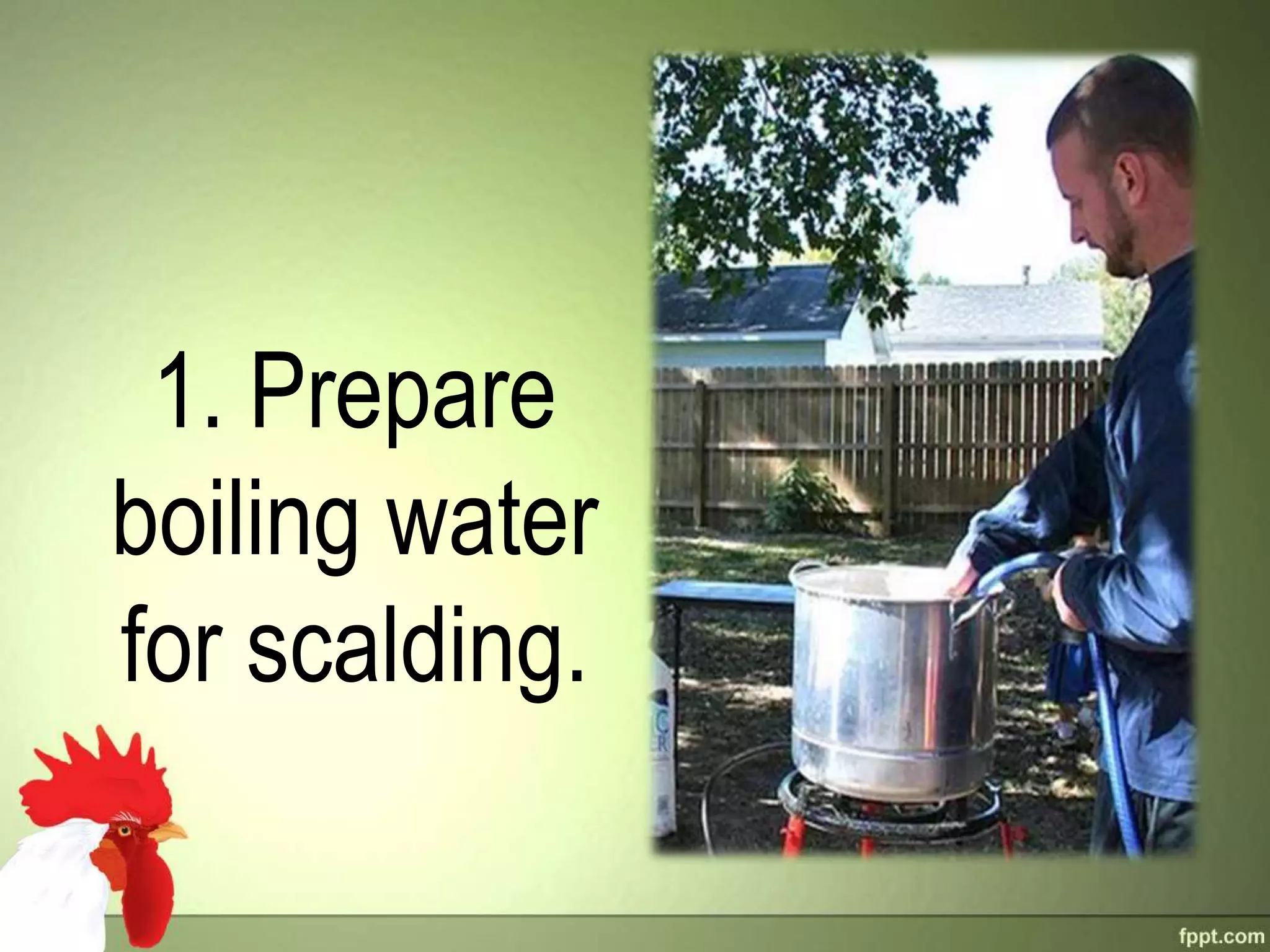 Dressing poultry | PPTX