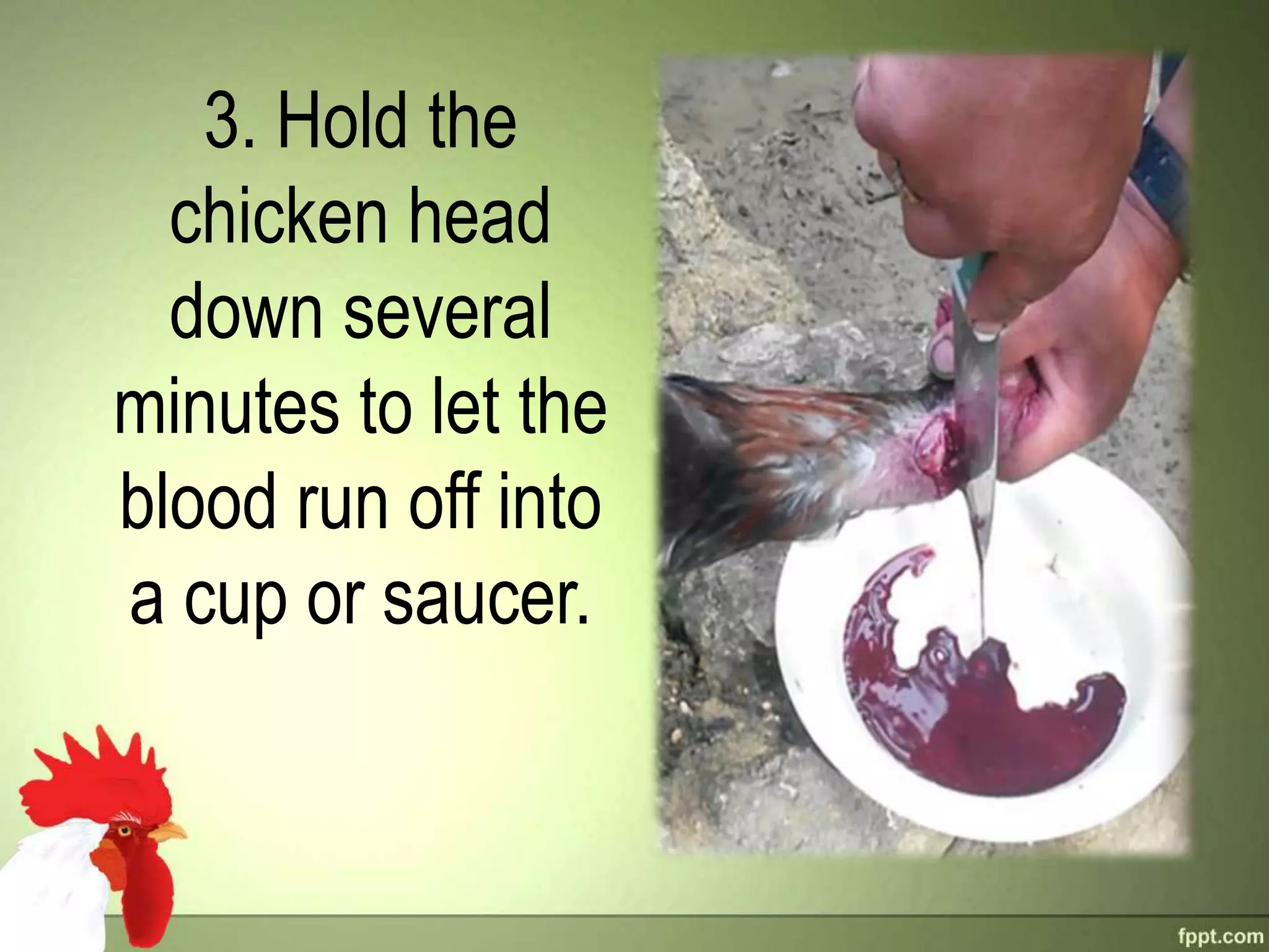 Dressing poultry | PPTX