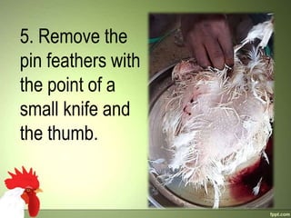 Dressing poultry | PPTX