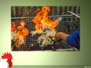 Dressing poultry | PPTX
